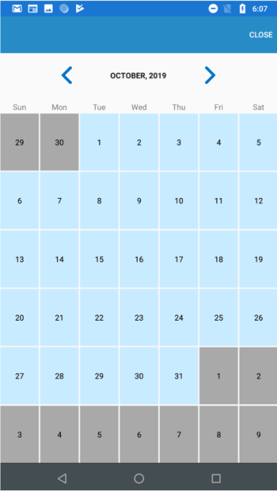 Custom calendar in Xamarin - Ignatiuz